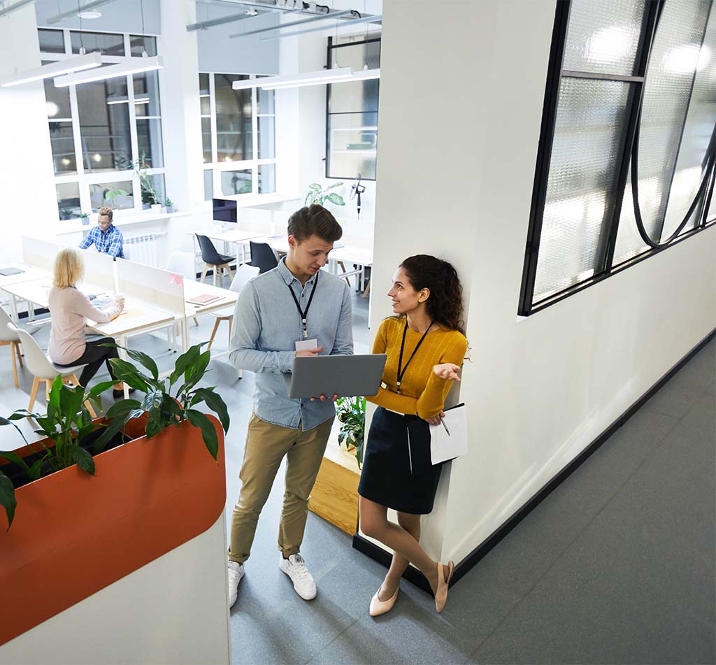 Automated Reporting | Data Management Services